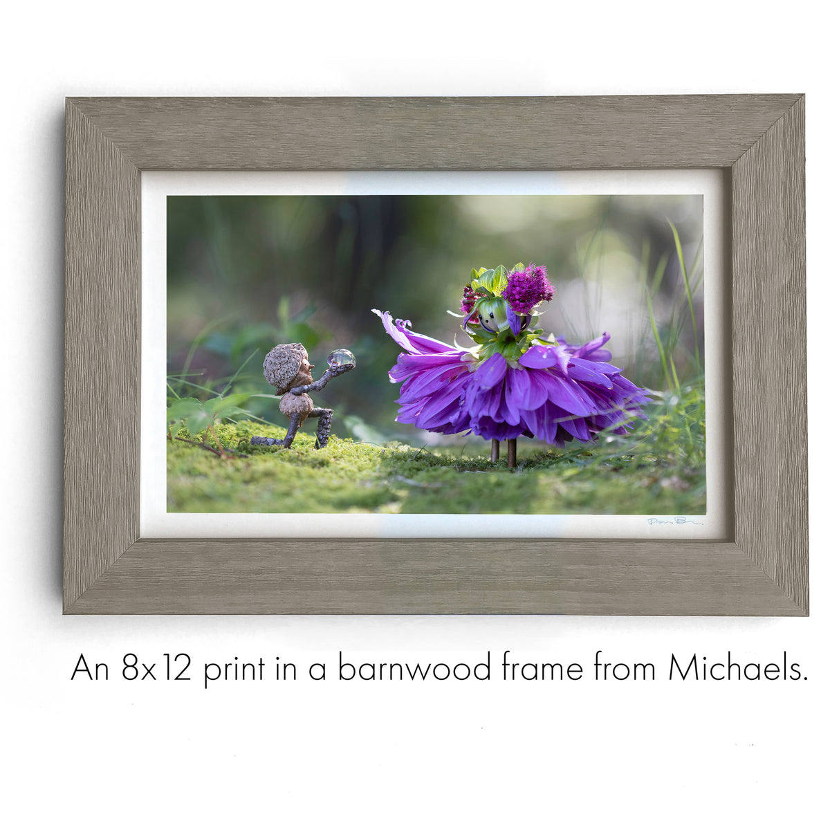 The Offering - Dahlia Print – David M Bird