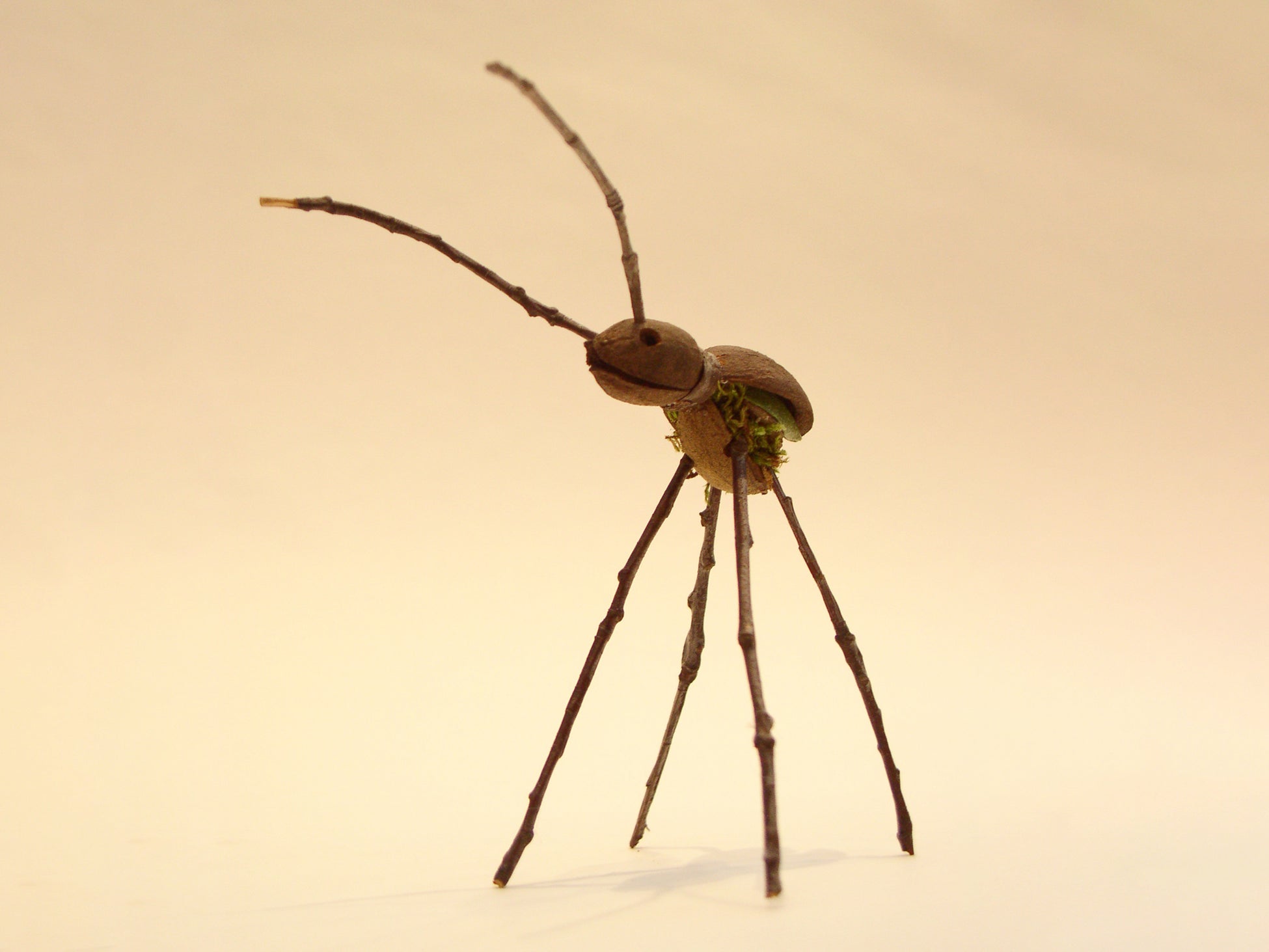 About David M. Bird – David M Bird