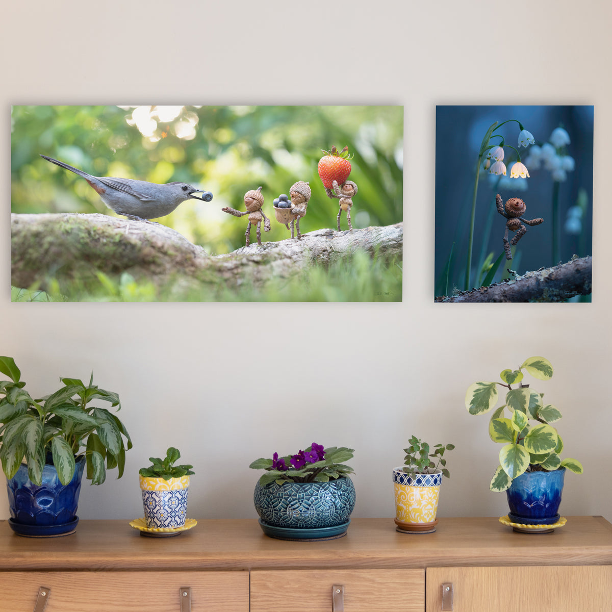 Glowdrop Print – David M Bird