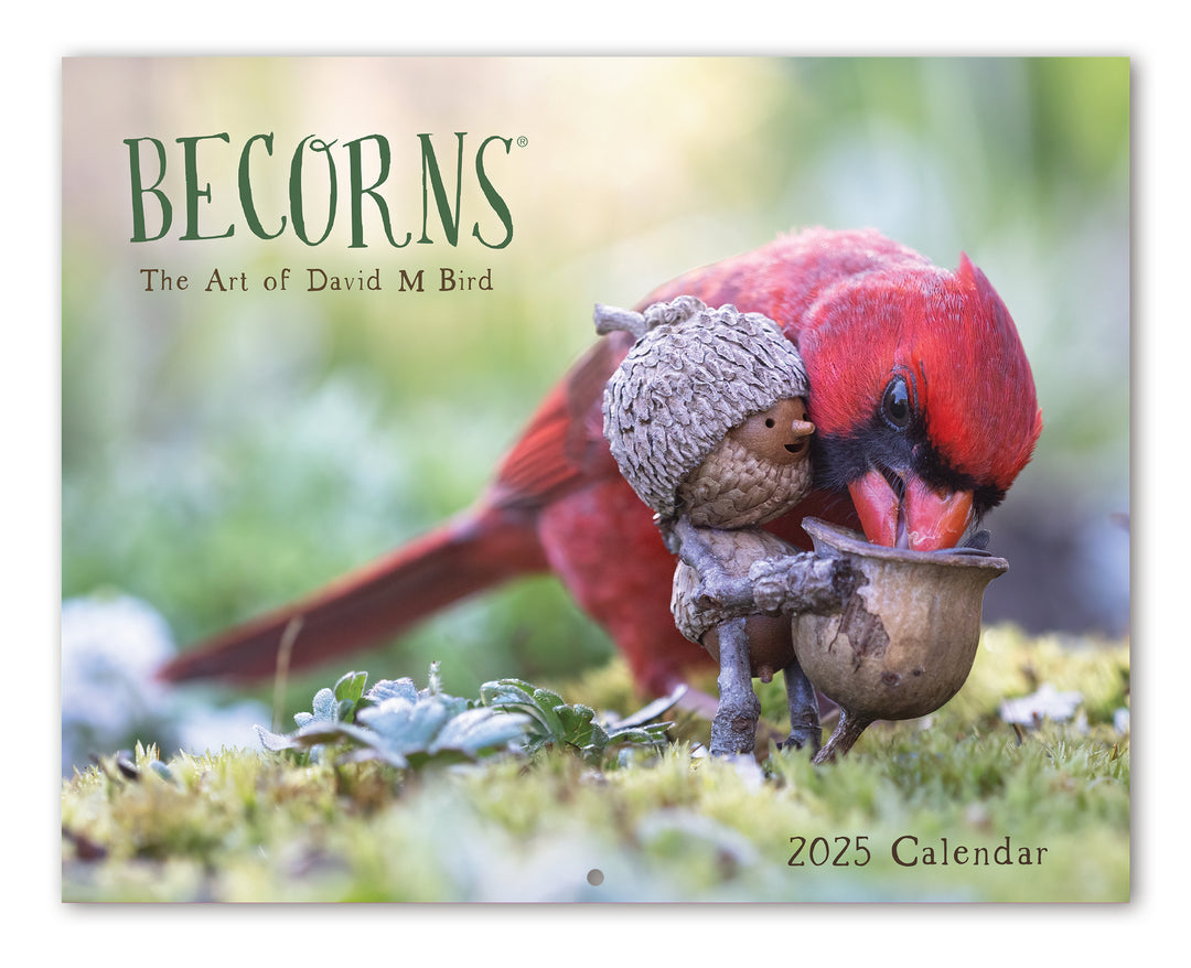 Calendars – David M Bird
