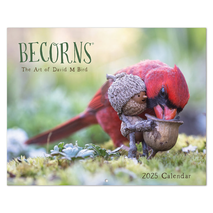 Becorns by David M Bird | Fine Art Photography