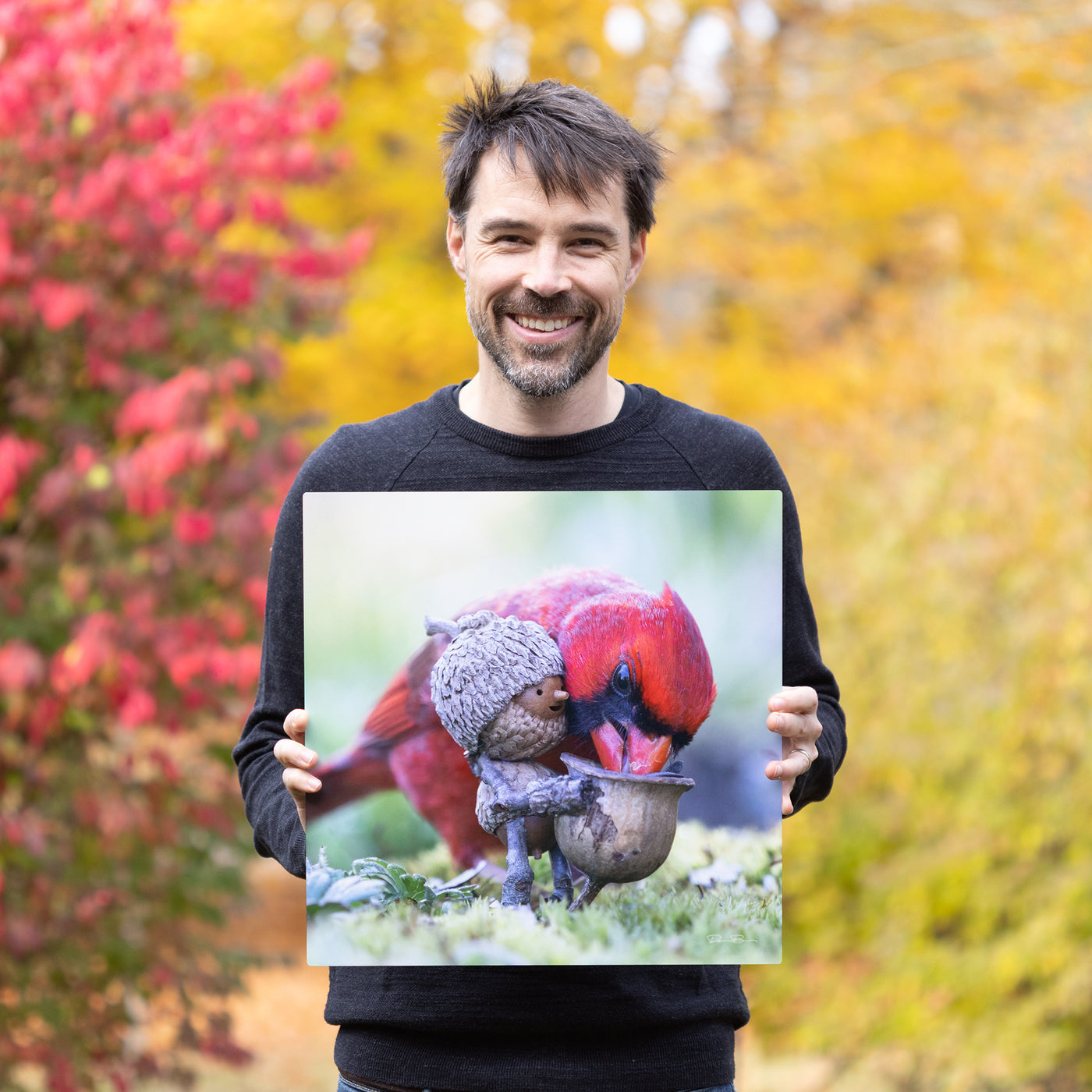 Becorns by David M Bird | Fine Art Photography