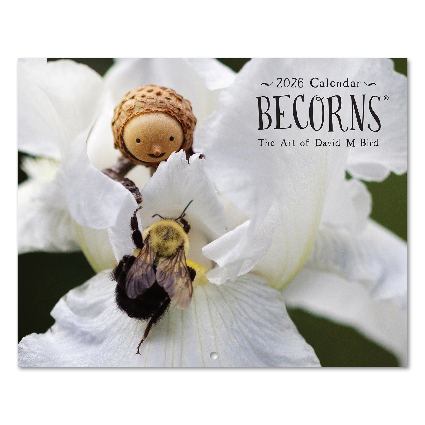 2026 Becorn Calendar – David M Bird