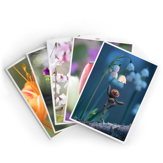 Becorns by David M Bird | Fine Art Photography