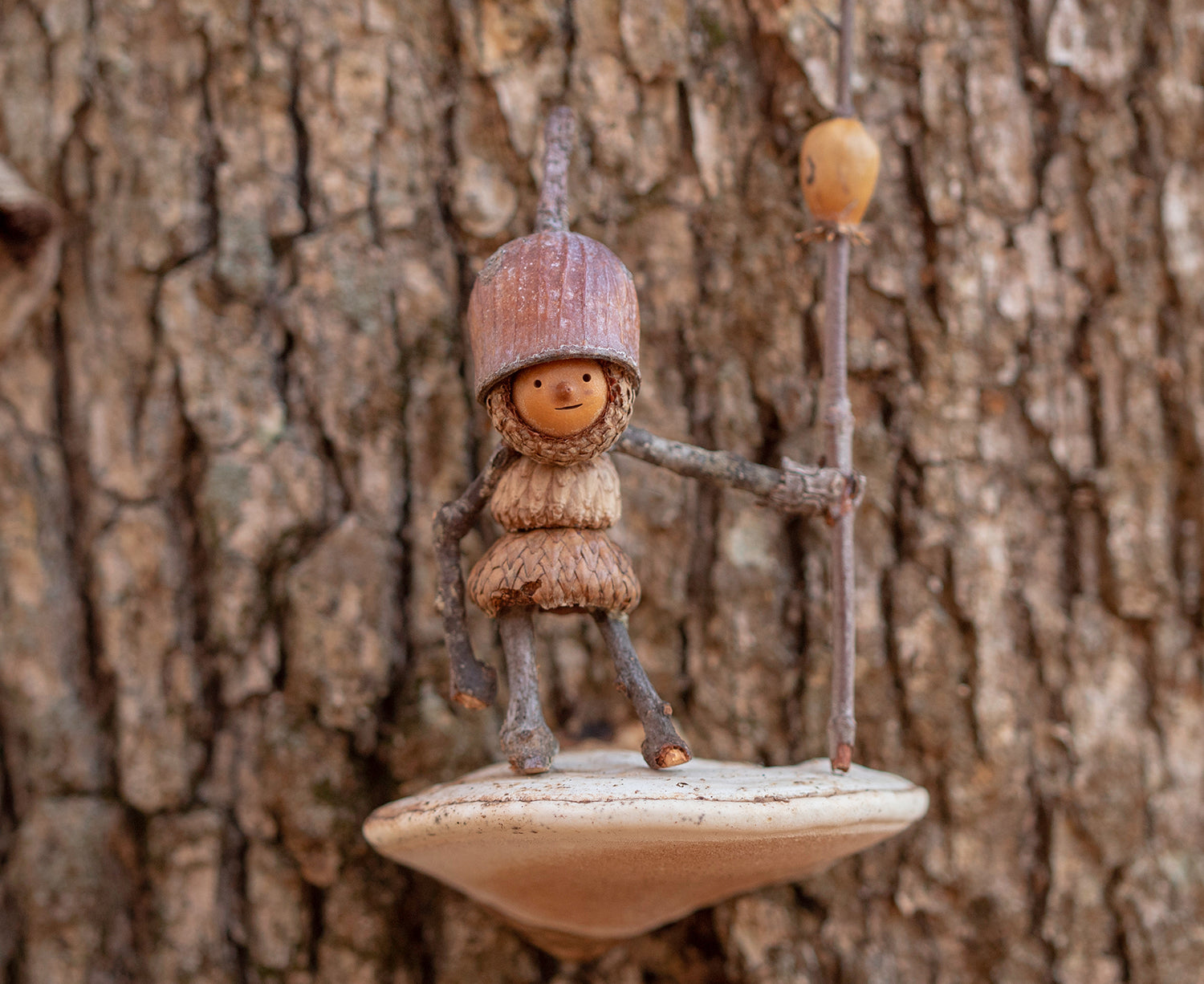 Becorns by David M Bird | Fine Art Photography